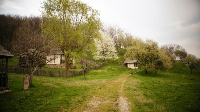 Bujoreni-muzeul satului din Valcea – Jurnal de Hoinar