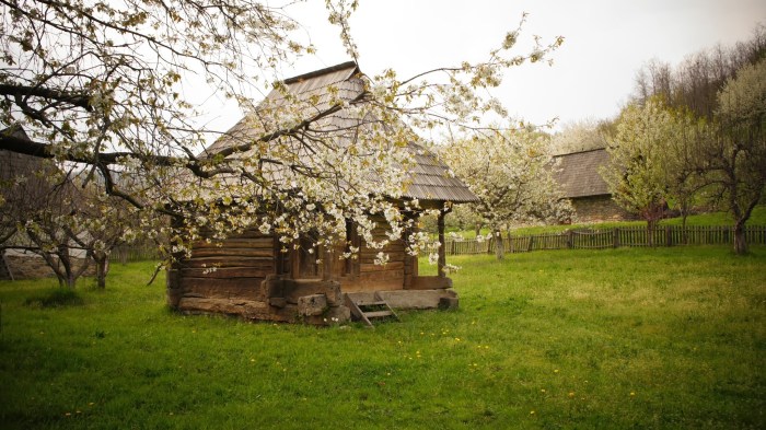 Bujoreni-muzeul satului din Valcea – Jurnal de Hoinar